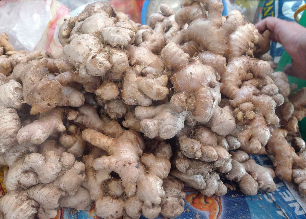Luya – Ginger | Grace Sunga Asagra
